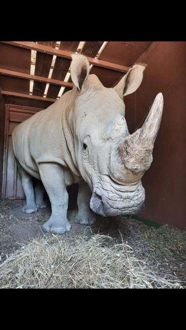 SIANE - Société d'intervention animalière